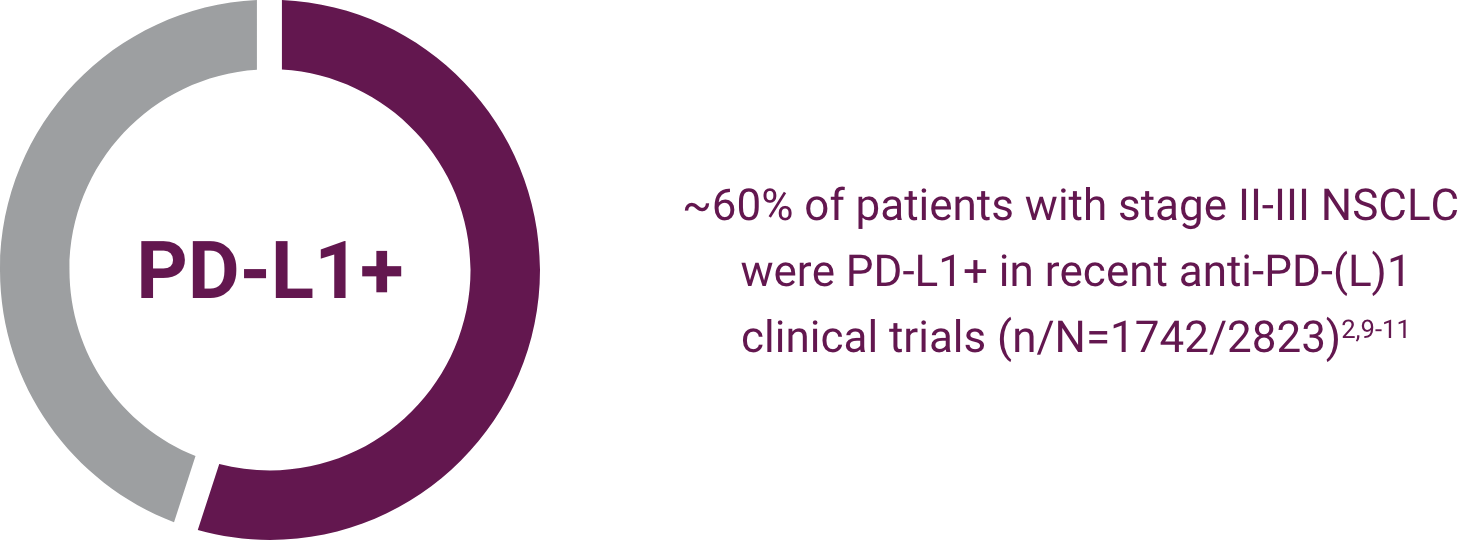 Pd L1 Testing In Tecentriq Atezolizumab Adjuvant Nsclc