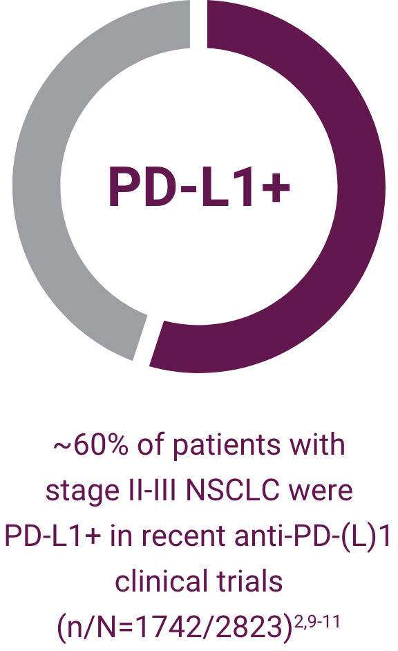 Pd L1 Testing In Tecentriq Atezolizumab Adjuvant Nsclc